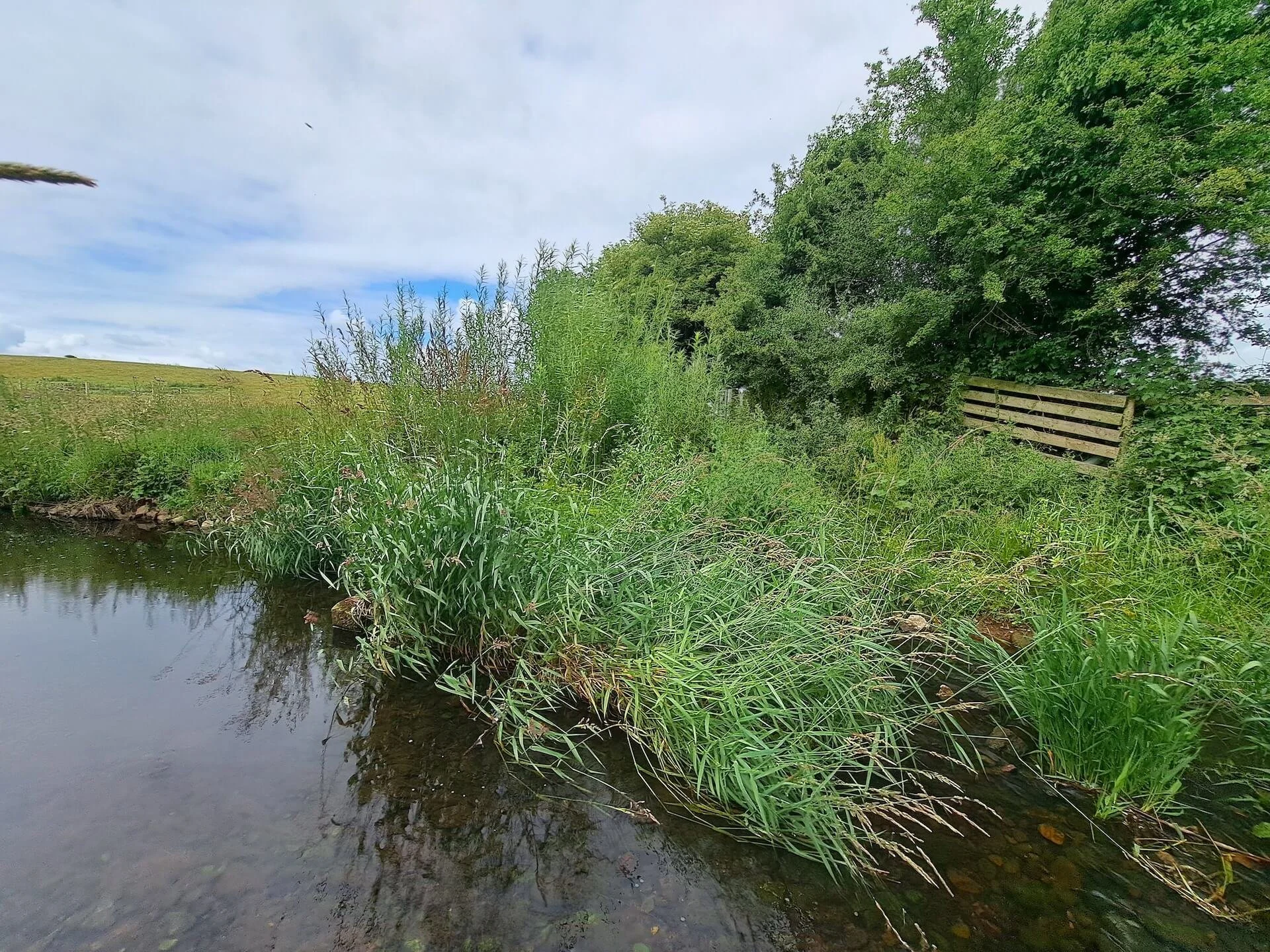 Rivers Waver & Wampool — West Cumbria Rivers Trust
