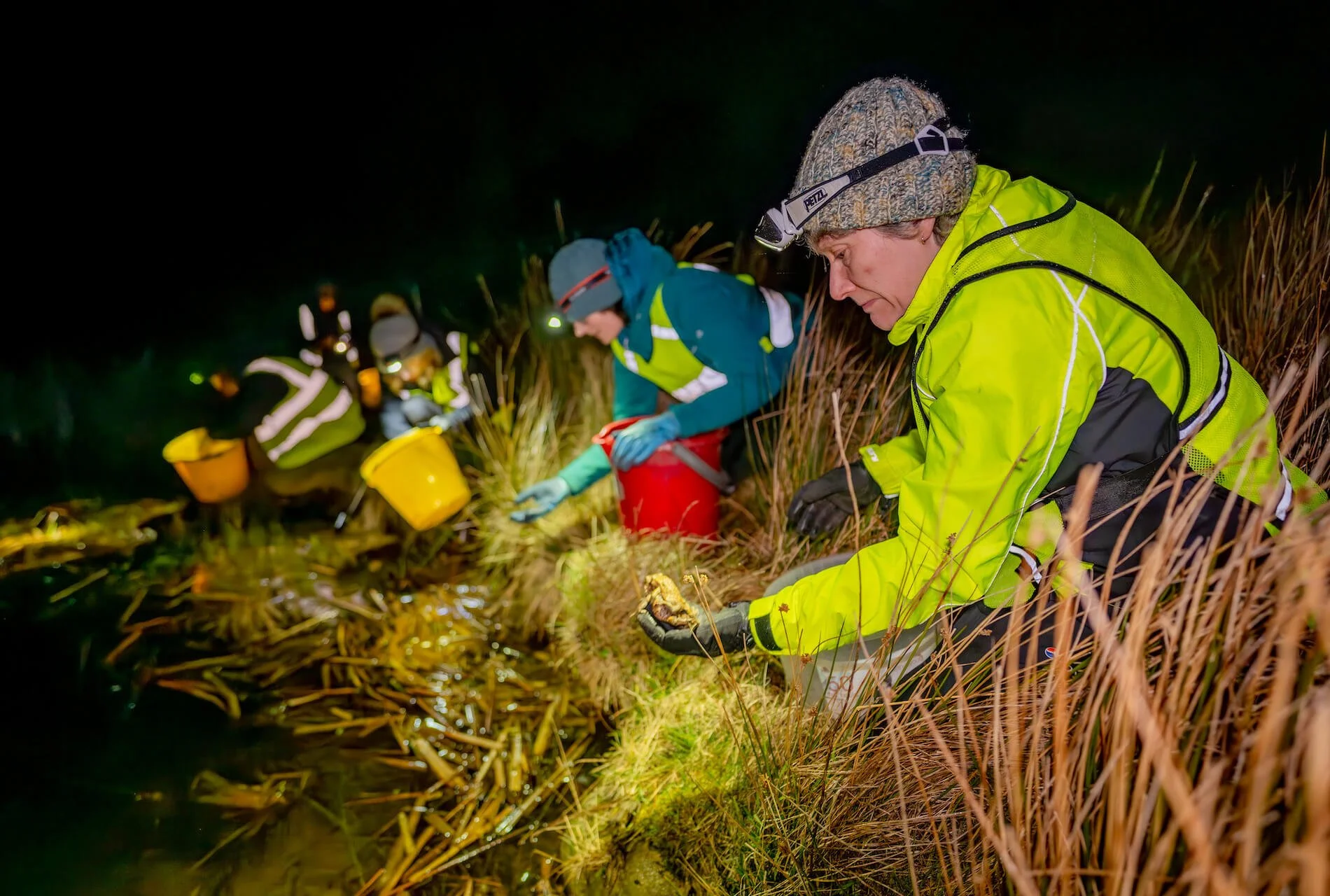 Toad Patrol — West Cumbria Rivers Trust