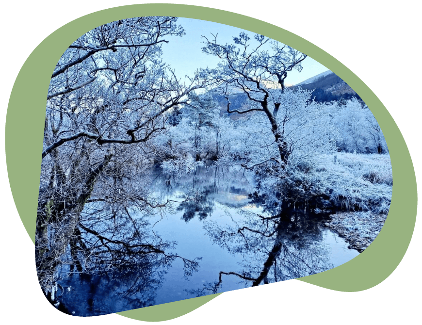 All Projects — West Cumbria Rivers Trust