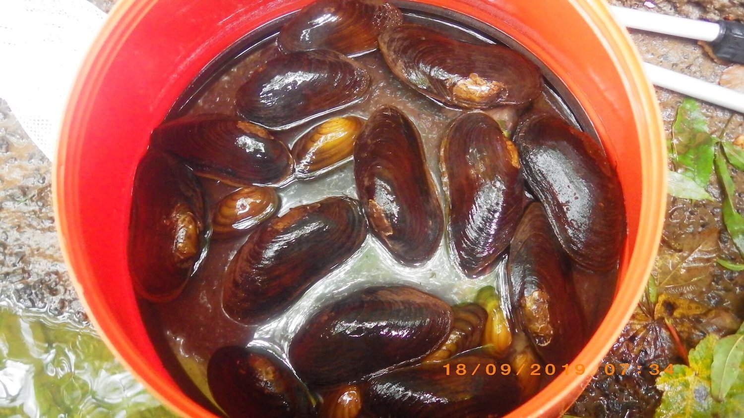 River Ehen — West Cumbria Rivers Trust