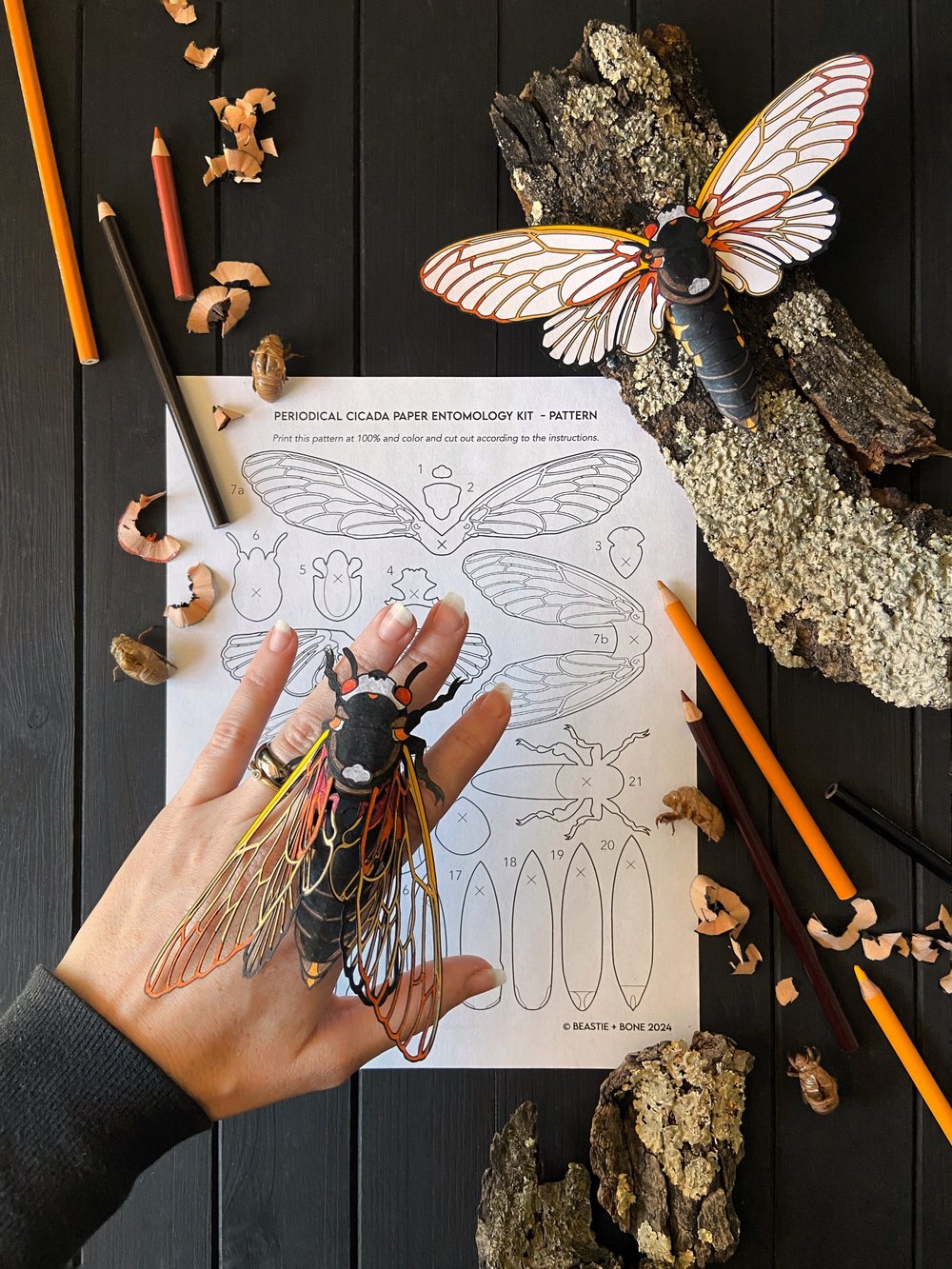 Deluxe Stag Beetle Downloadable Paper Entomology Kit — Beastie and Bone