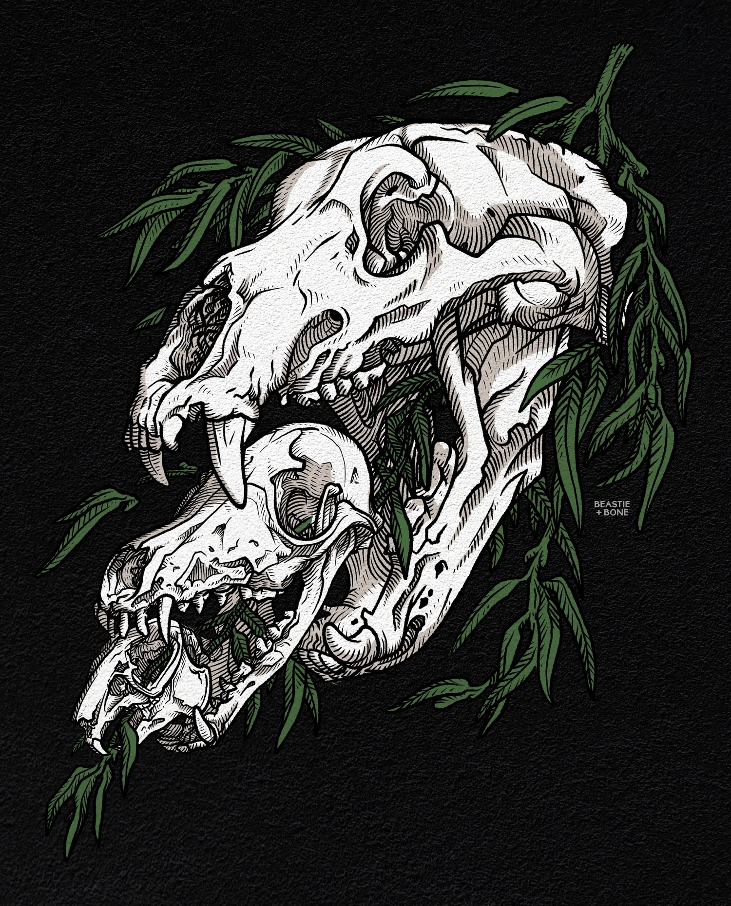 Illustration — Beastie and Bone