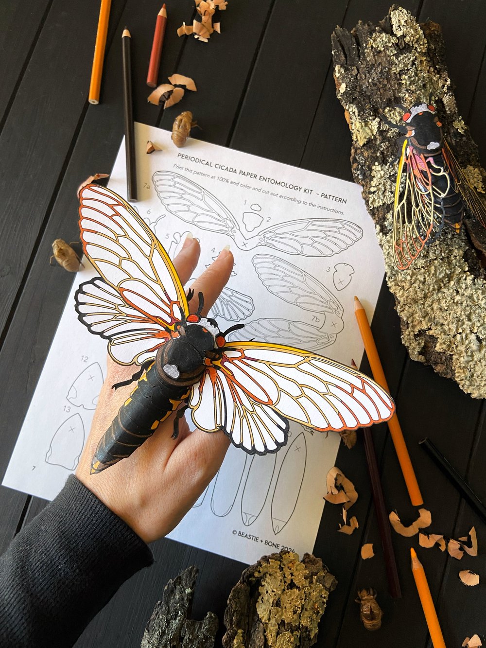 Deluxe Stag Beetle Downloadable Paper Entomology Kit — Beastie and Bone