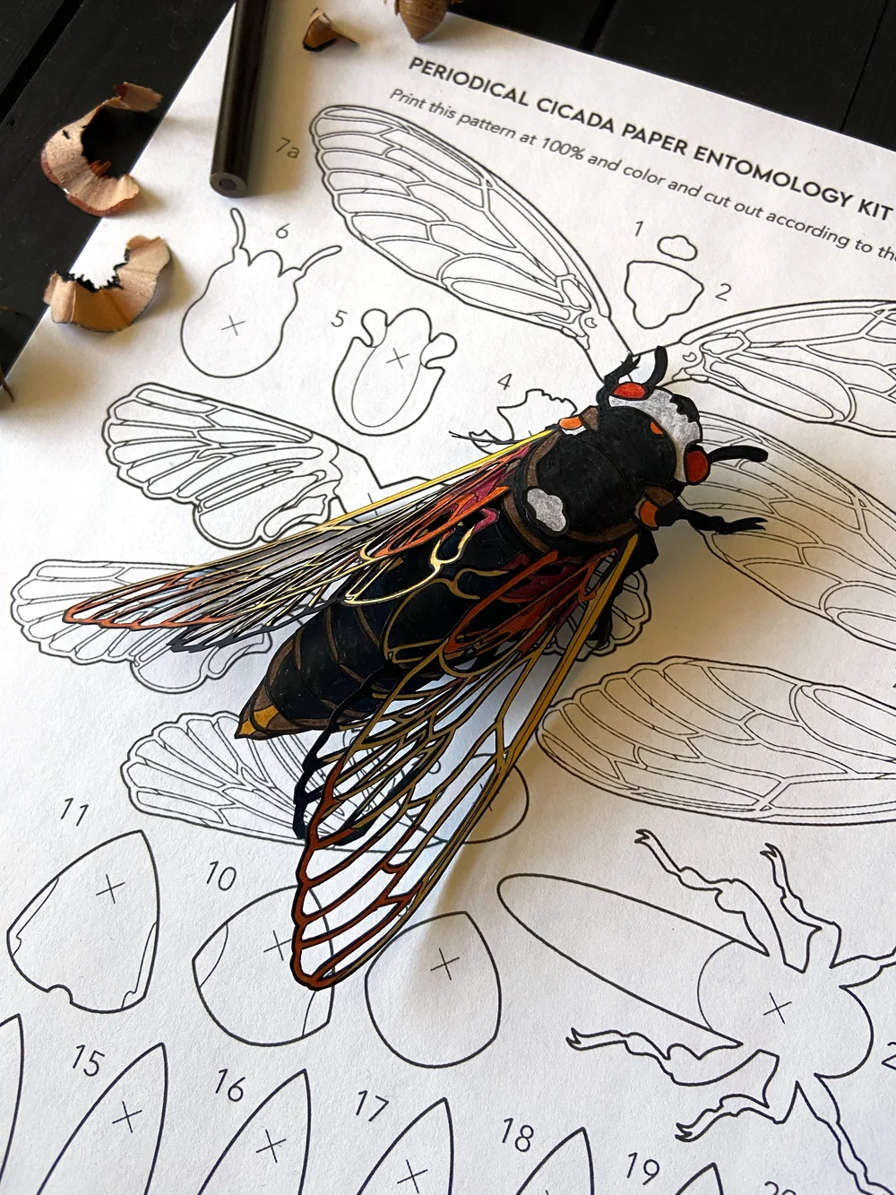 Deluxe Stag Beetle Downloadable Paper Entomology Kit — Beastie and Bone