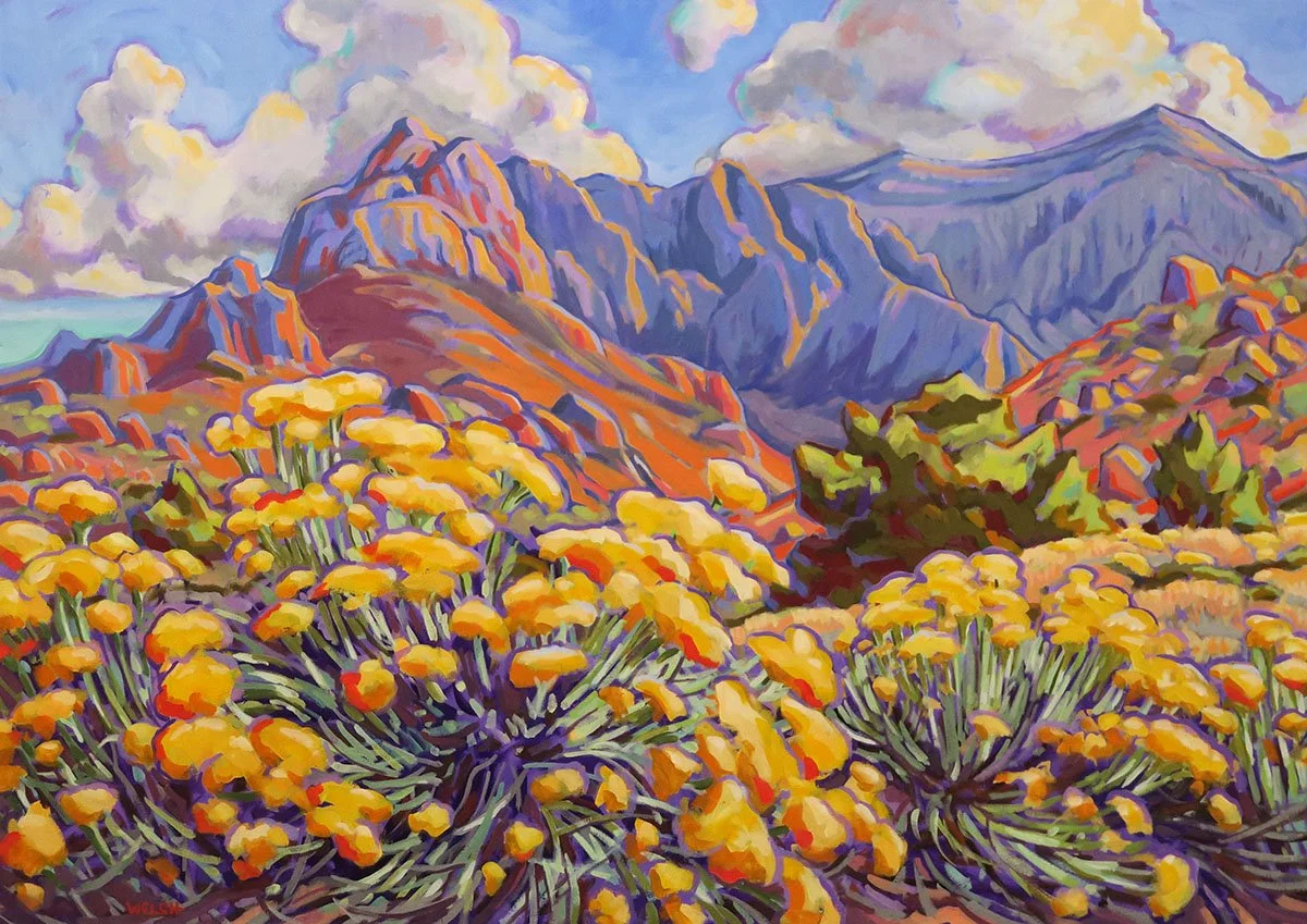 David Welch — North Valley Studio Tour