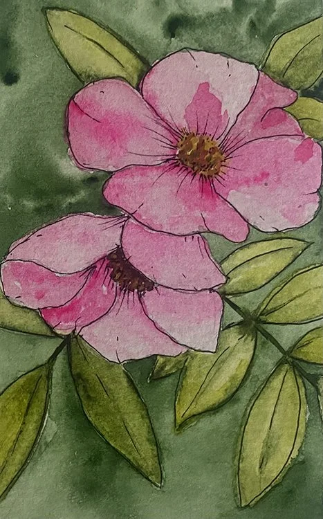 Alison O'Leary — North Valley Studio Tour