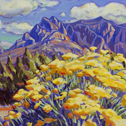 David Welch — North Valley Studio Tour