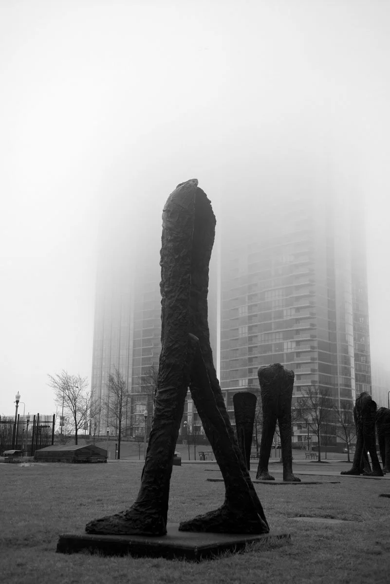 Steve Shelly — North Valley Studio Tour