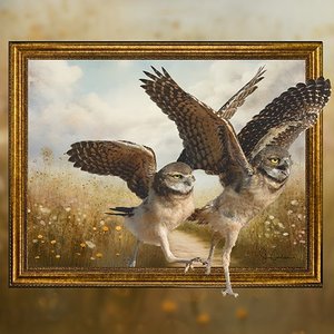 Sandra Corless — North Valley Studio Tour