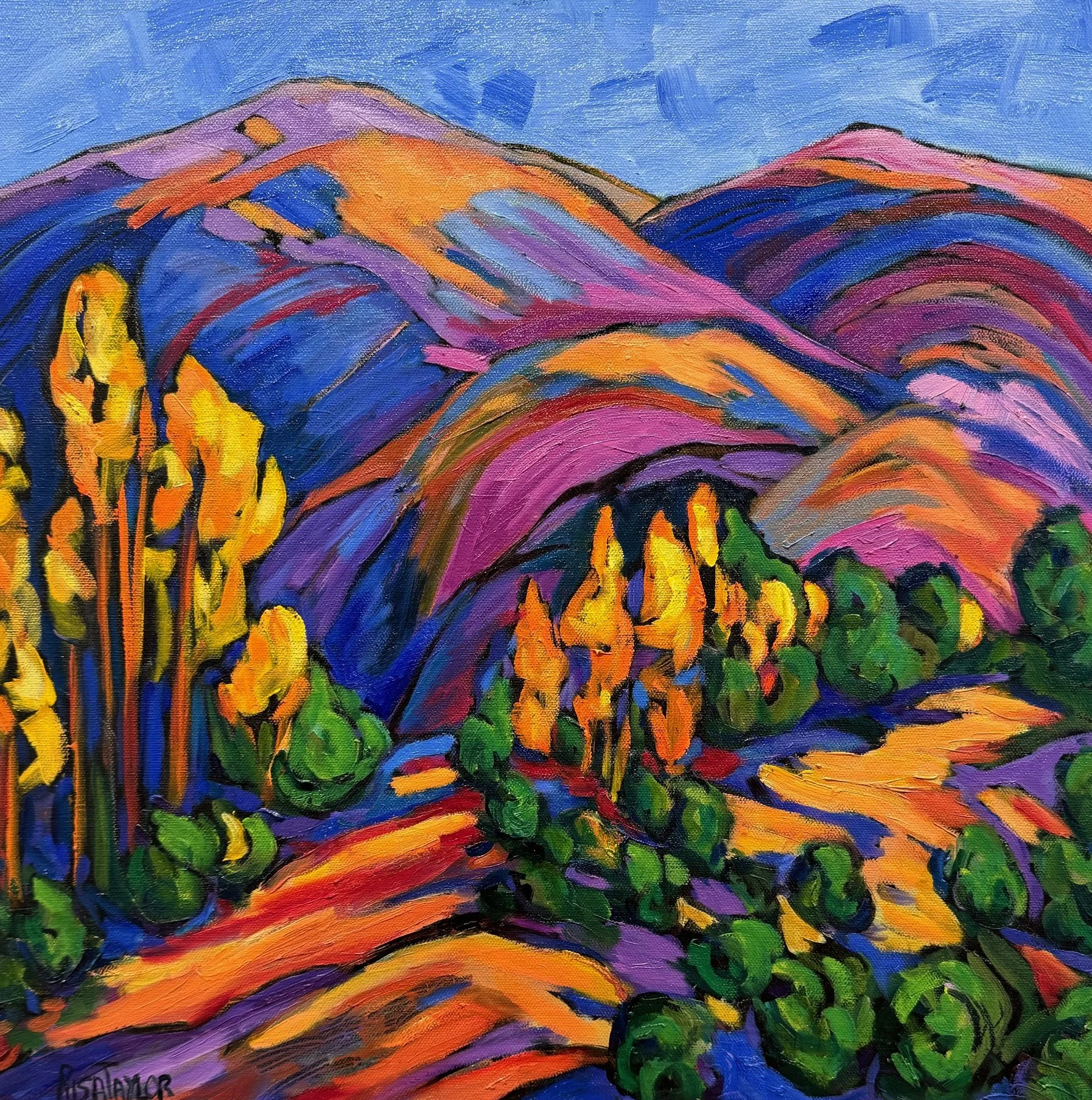 Risa Taylor — North Valley Studio Tour