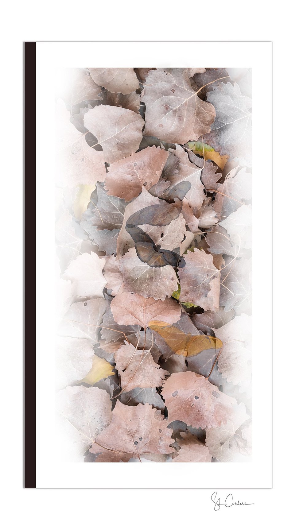 Sandra Corless — North Valley Studio Tour