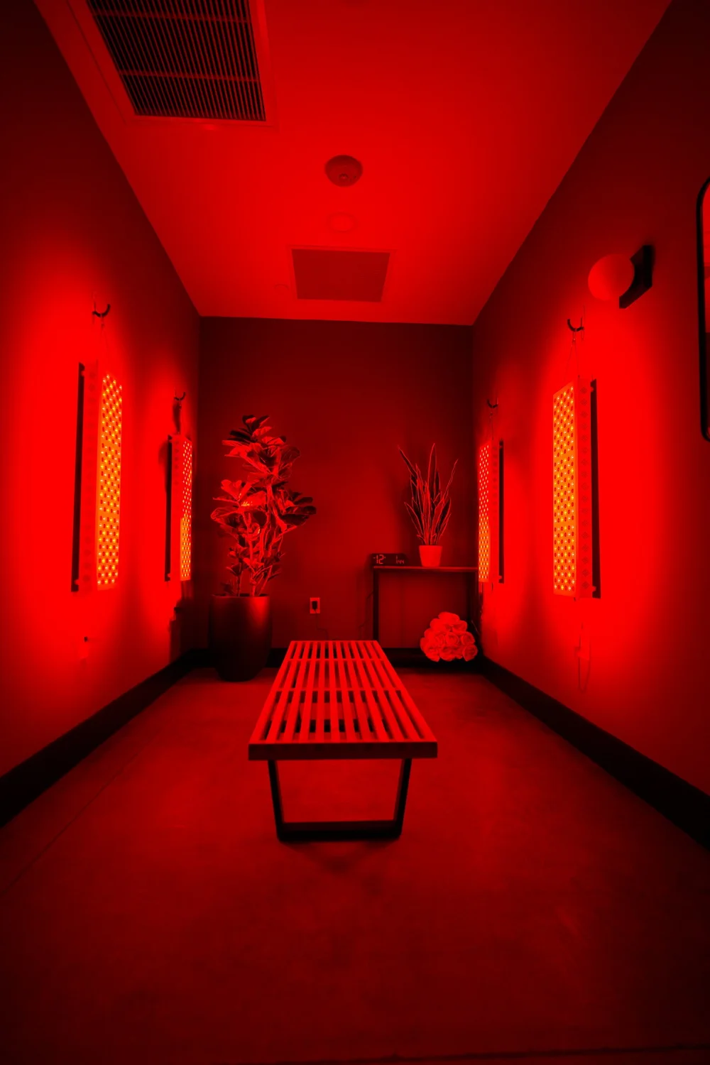 Red Light Therapy in St Pete Florida | Balance House