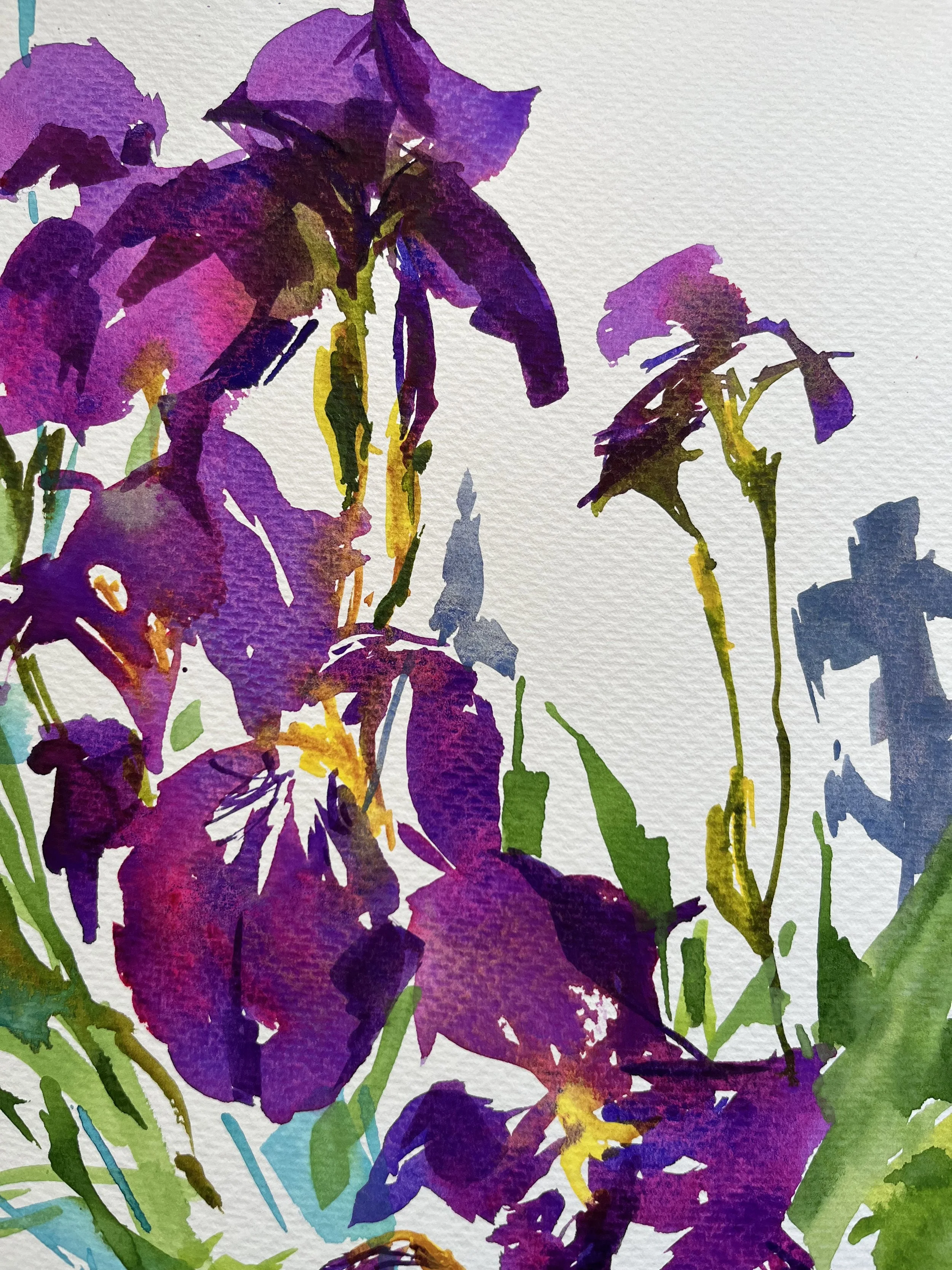 Rachel Steele Artist