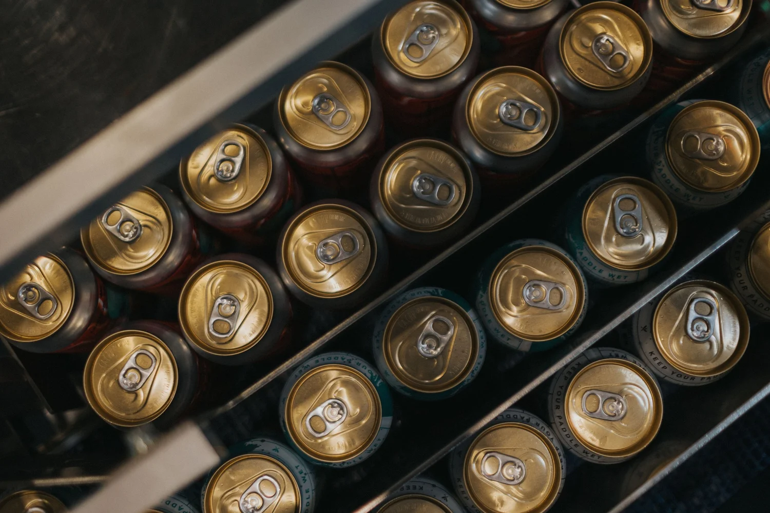 Beer — Logboat Brewing Co.