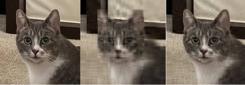 Linear Algebra in Engineering: Image Compression with SVD — Understand ...