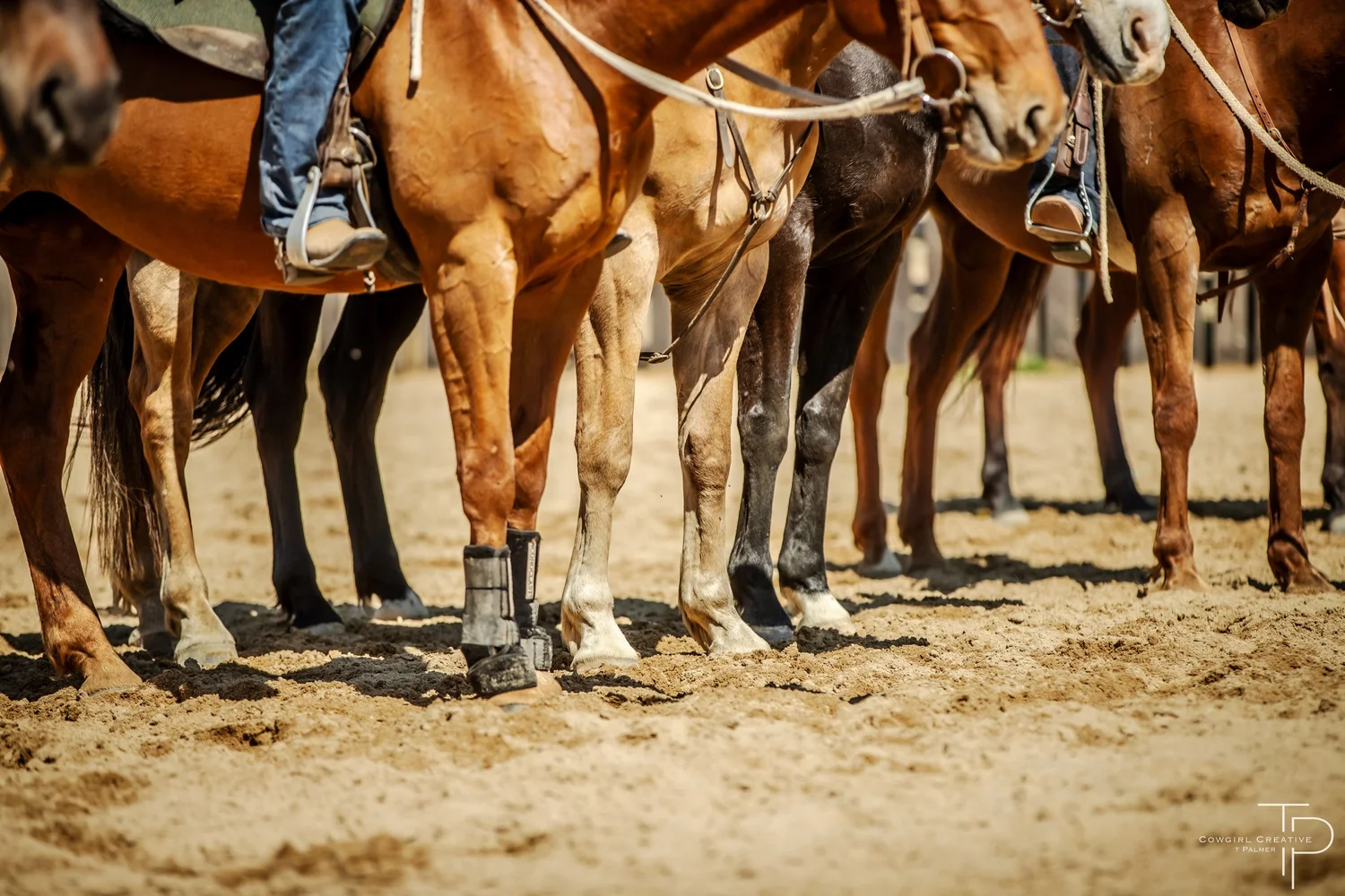 Progress with Purpose — Heidi Smith