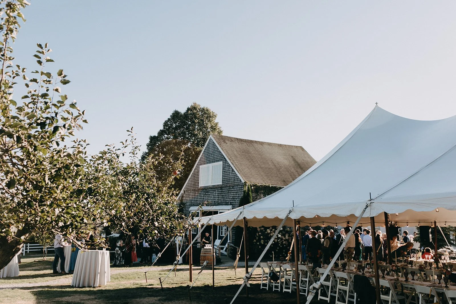 Lis Simon Bride Sarah — Lis Simon