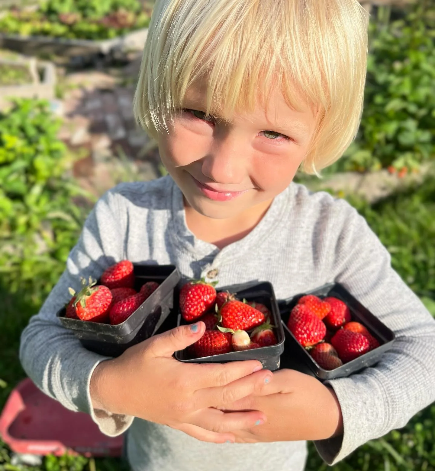 Services 2 — Buttonwood Farm