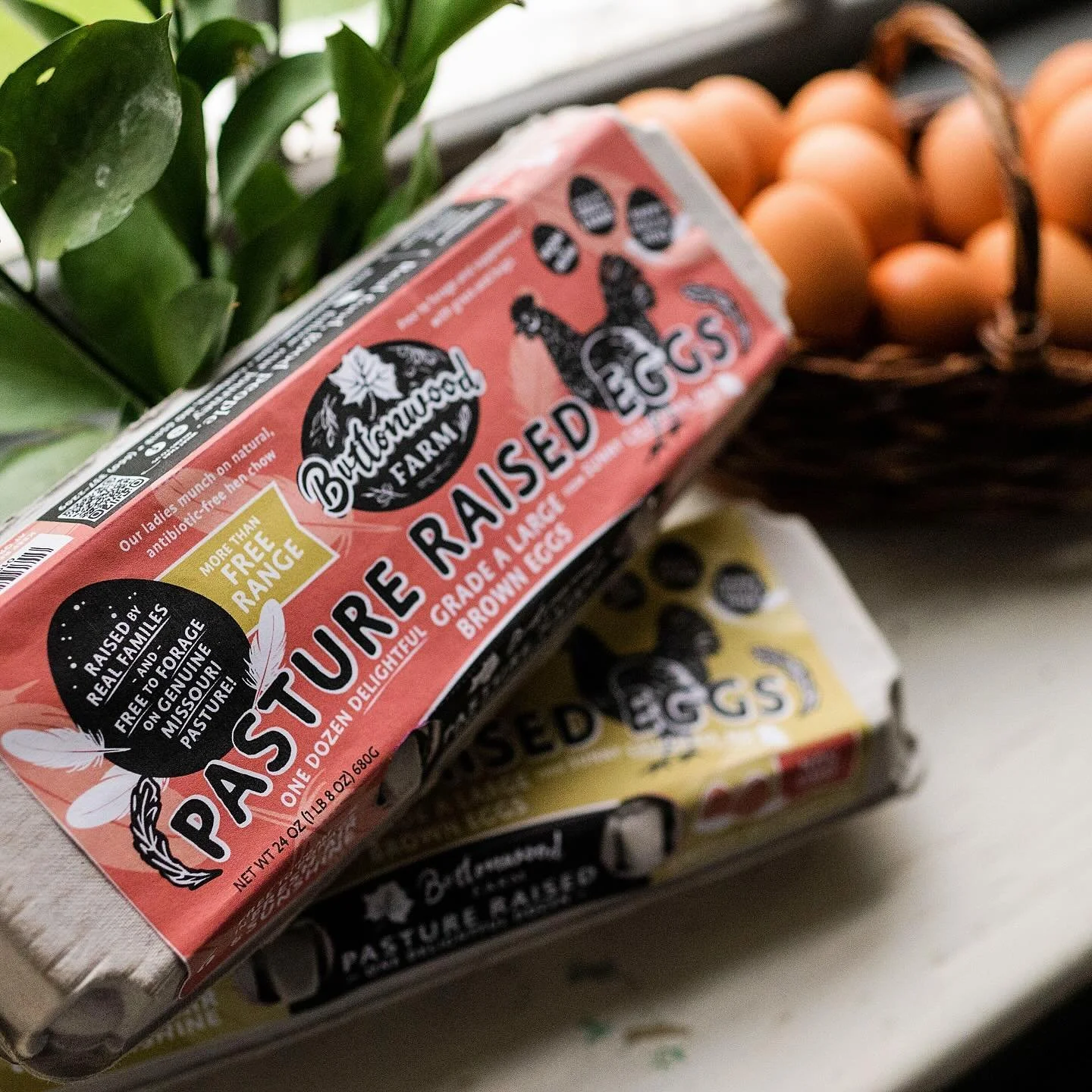 Services 2 — Buttonwood Farm