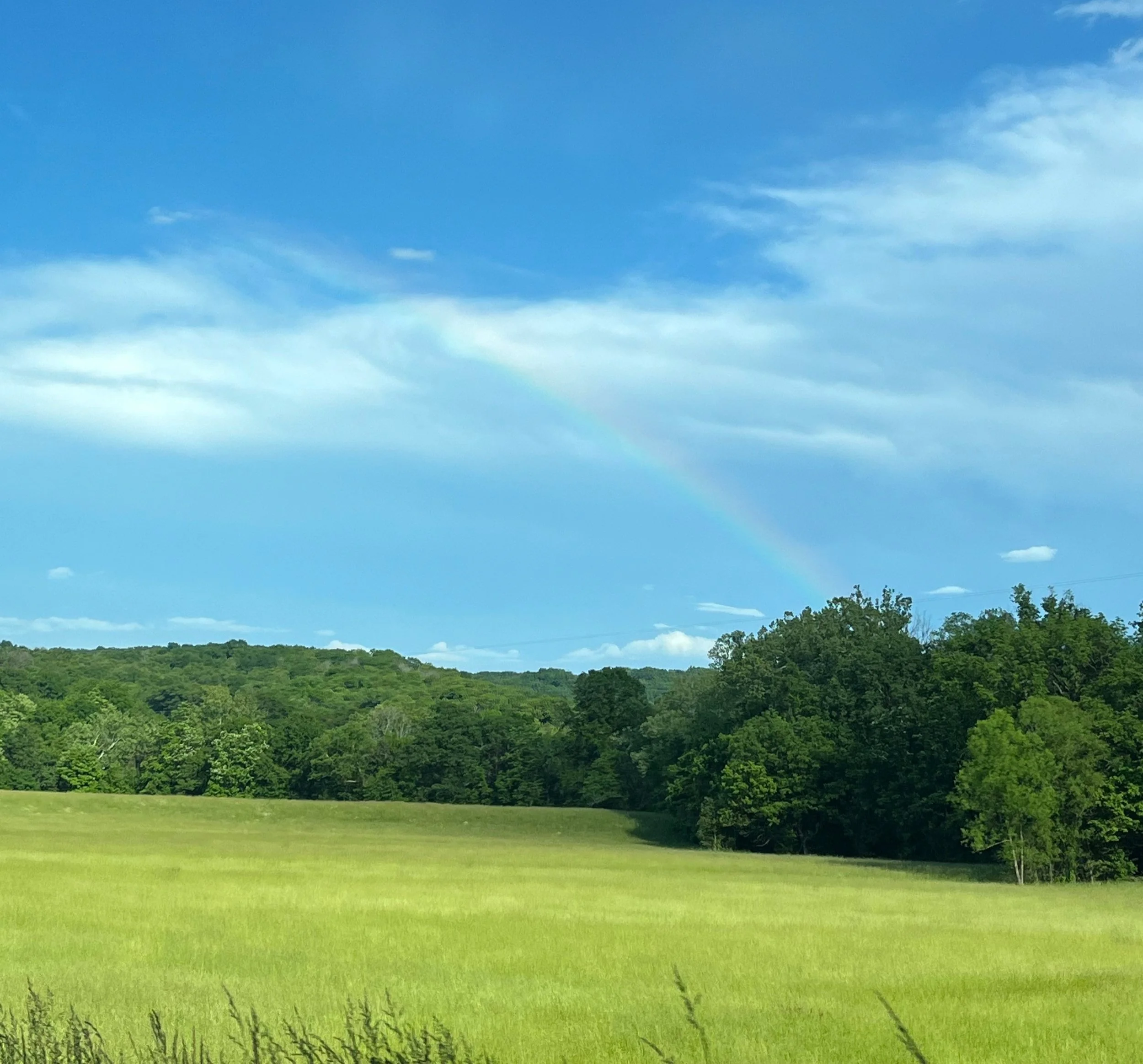 About 1 — Buttonwood Farm