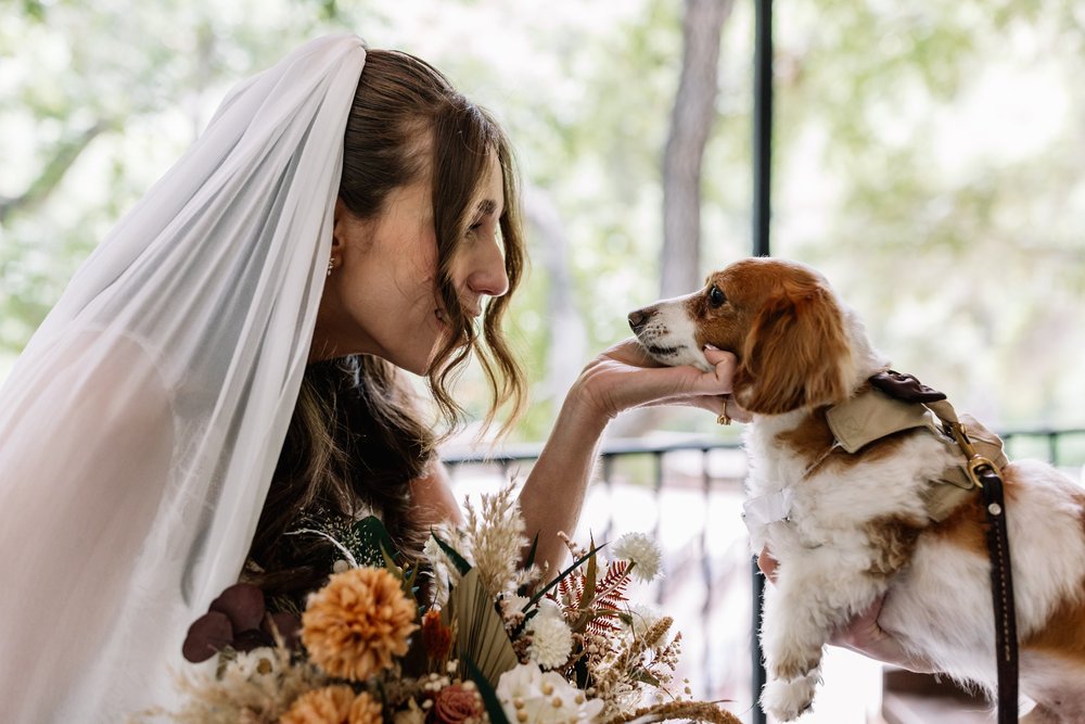 I Dog Too | Southern California Wedding Day Pet Care