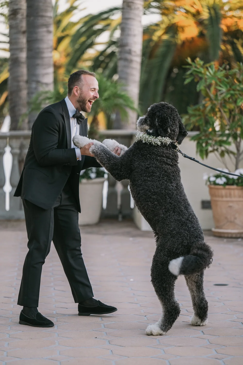 I Dog Too | Southern California Wedding Day Pet Care