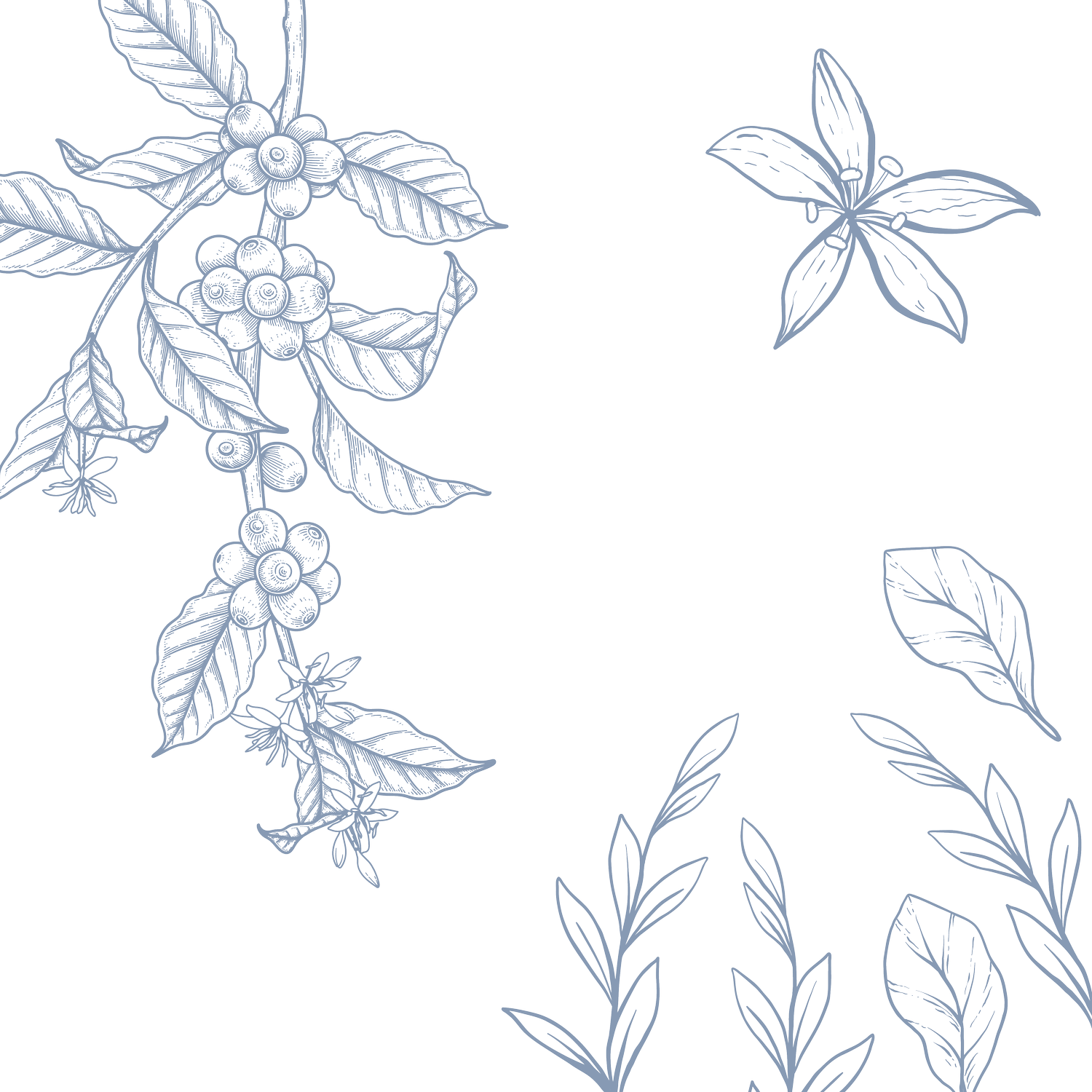 Menu 1 — The Inclusive Bean