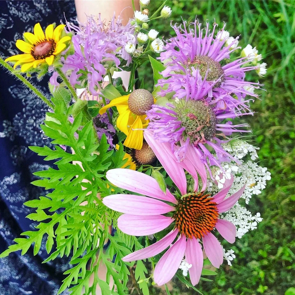 About the Farm — Prairie Patch Farm