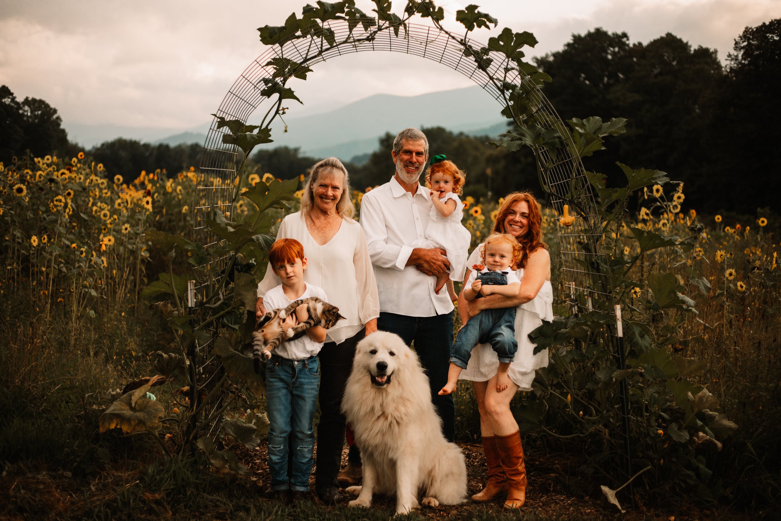 About — The Ten Acre Garden