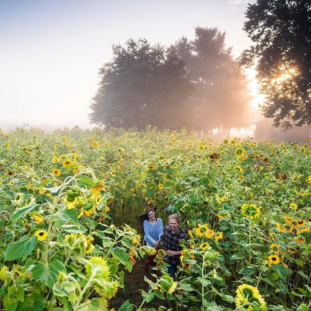 General 1 — The Ten Acre Garden