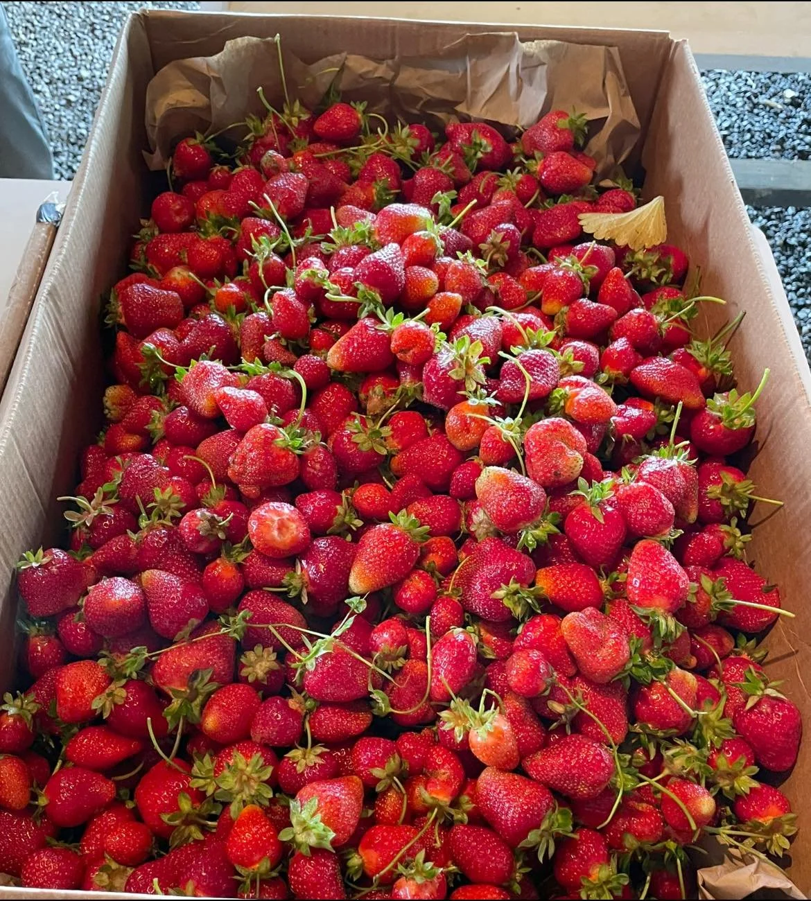 U-Pick — The Ten Acre Garden