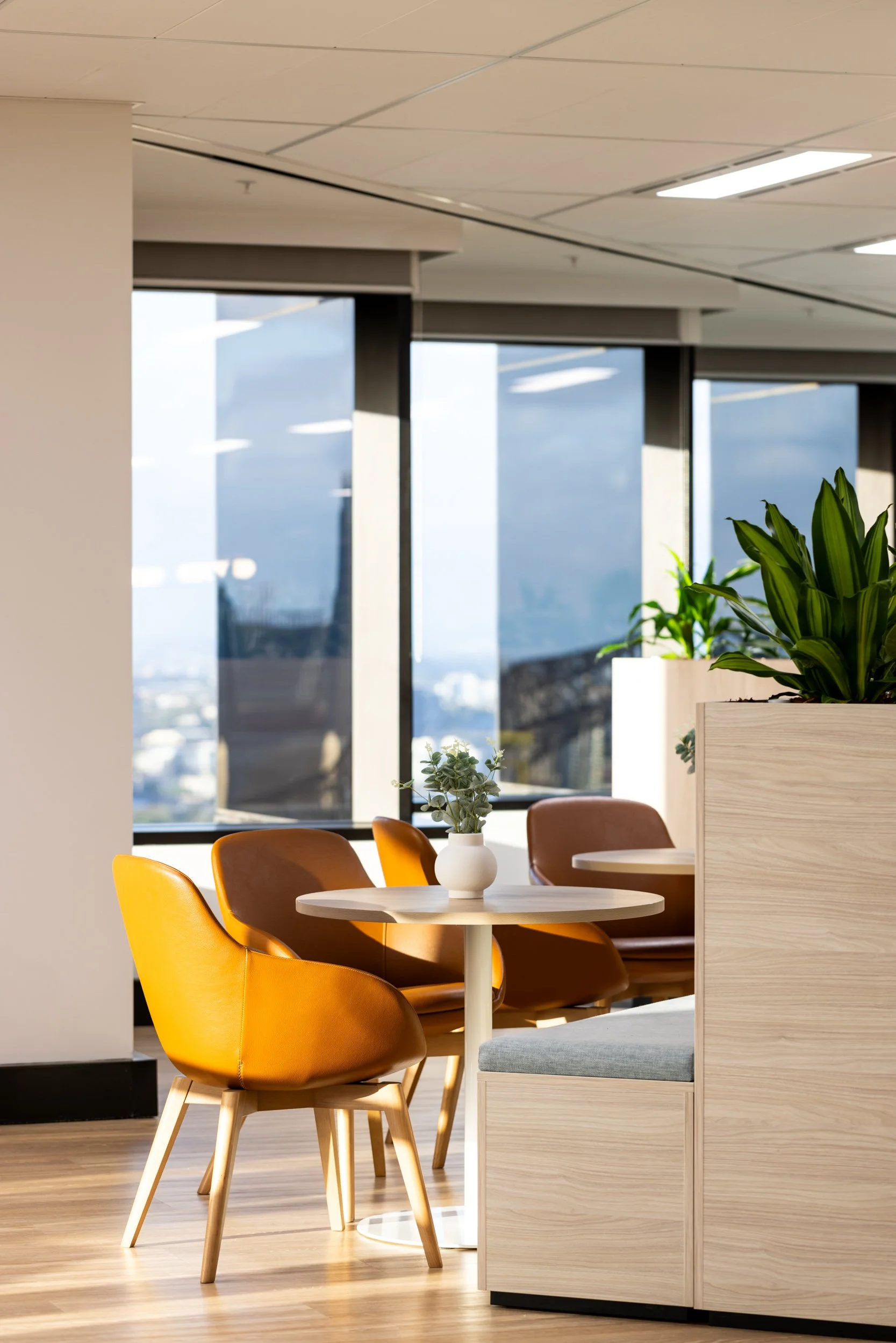 Thinktank's Upgraded North Sydney Workplace — Sheldon Interiors