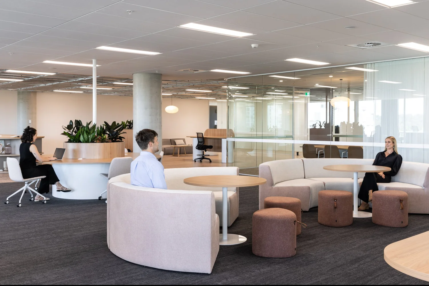 Five Spe Suites in Macquarie Park — Sheldon Interiors