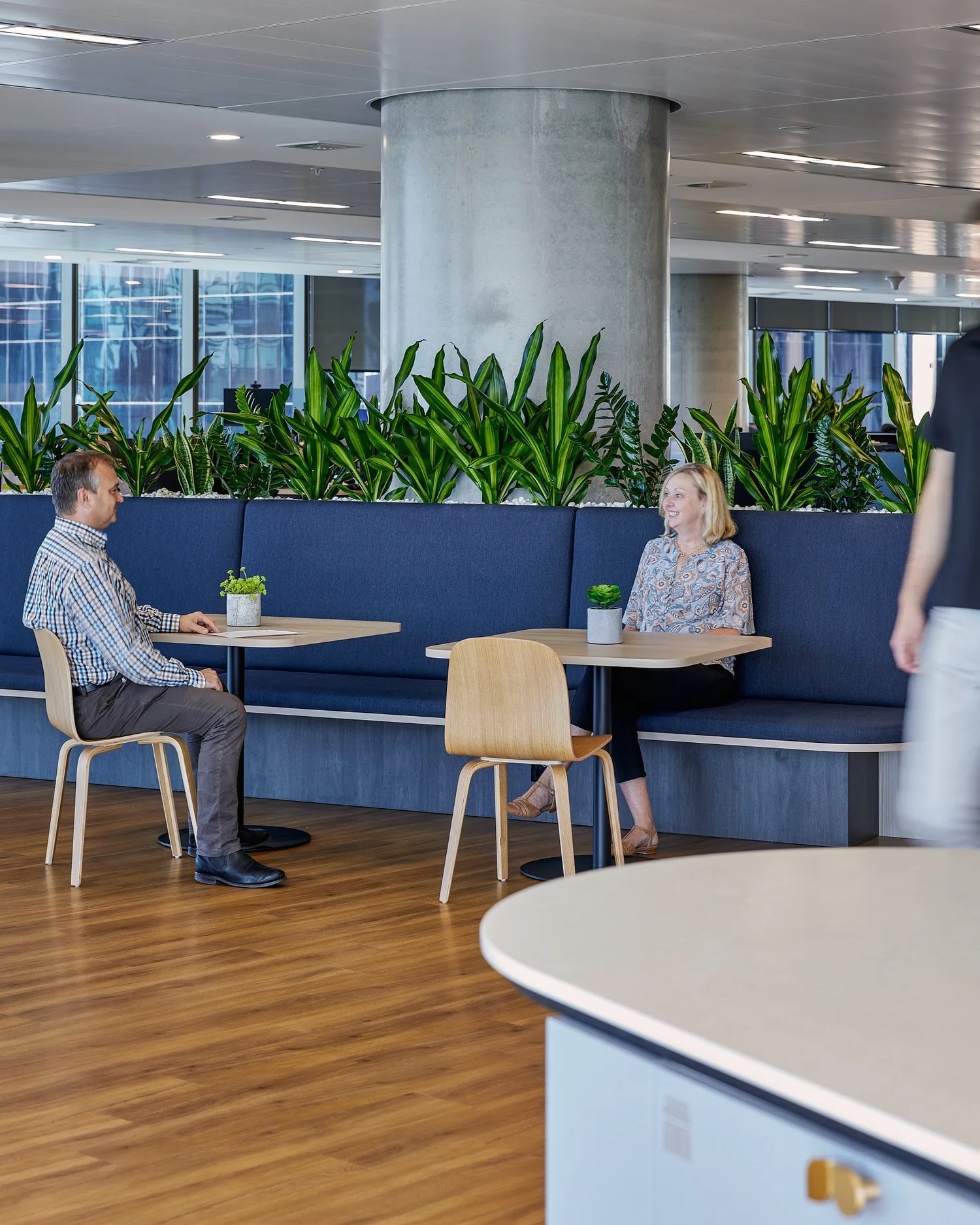 Graymont | Workplace Design & Construction — Sheldon Interiors
