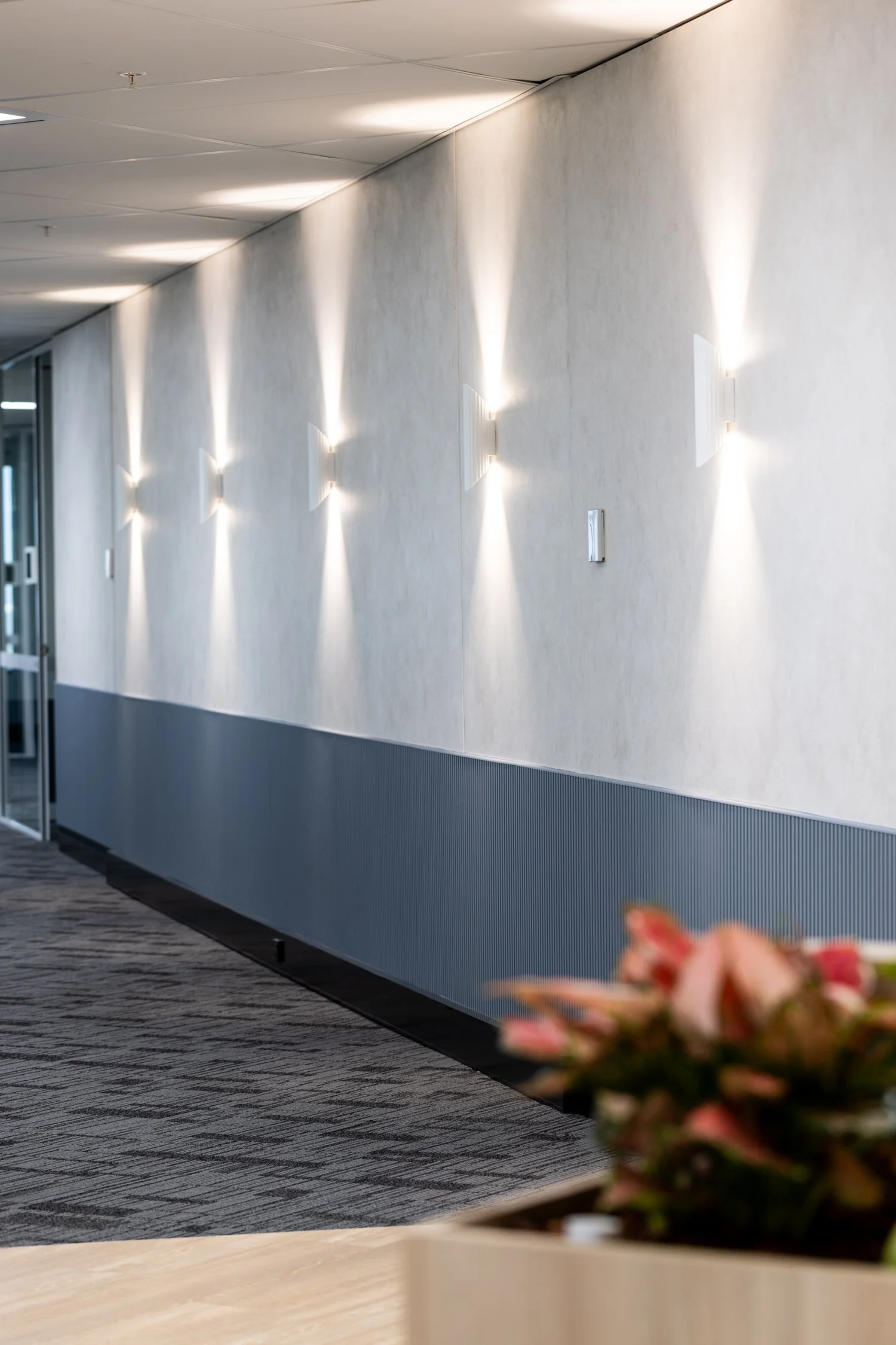 Thinktank's Upgraded North Sydney Workplace — Sheldon Interiors