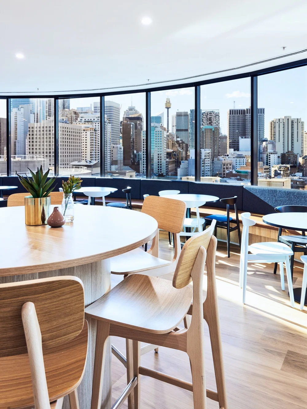 Government Agency, Surry Hills, Sydney — Sheldon Interiors