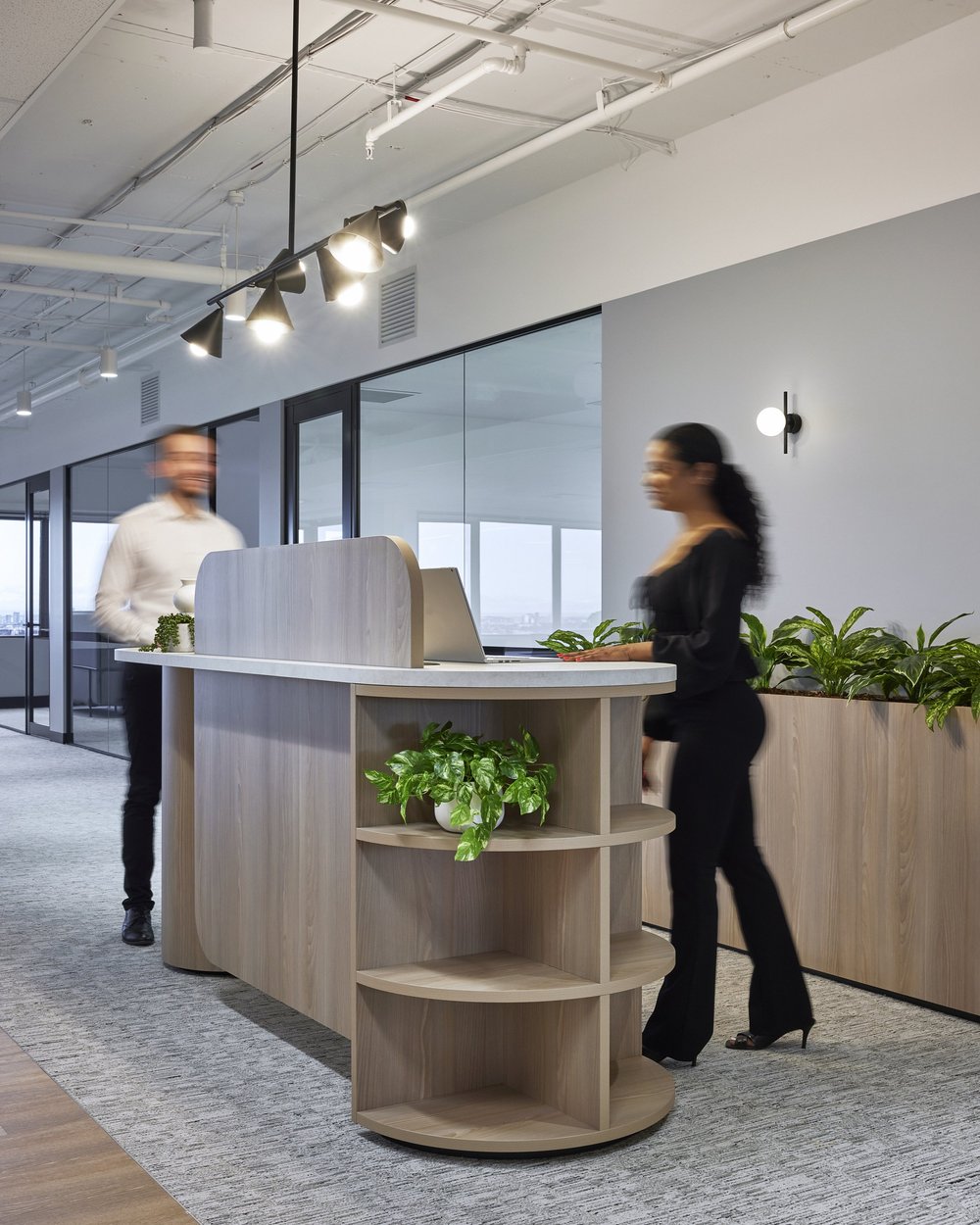 Zurich & Lighthouse Project Group, North Sydney — Sheldon Interiors