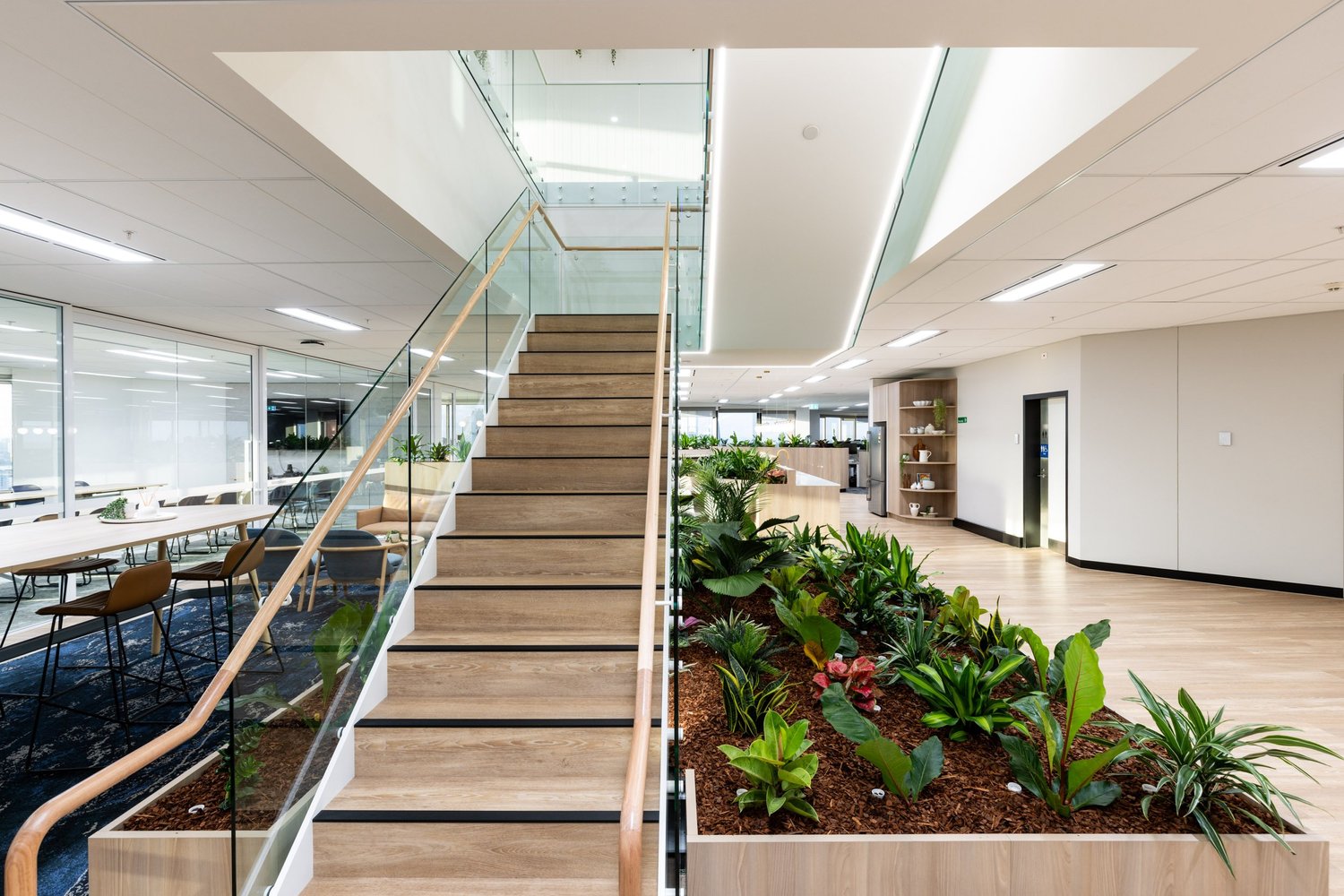 Thinktank's Upgraded North Sydney Workplace — Sheldon Interiors