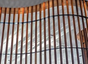 Timber dowels — www.auspoltimber.com.au