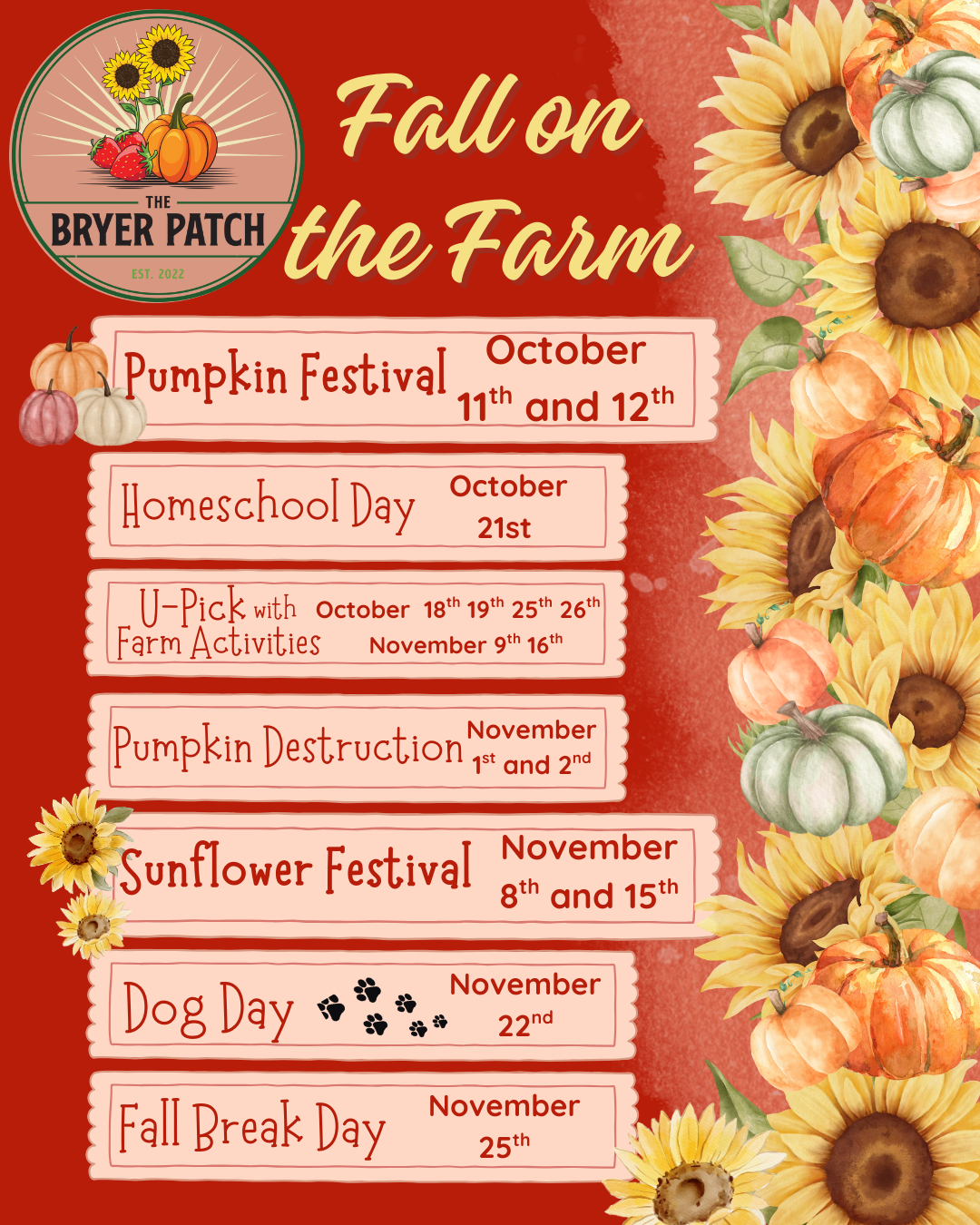 The Bryer Patch Farm | Produce & Flower U-Pick Farm | Newberry FL