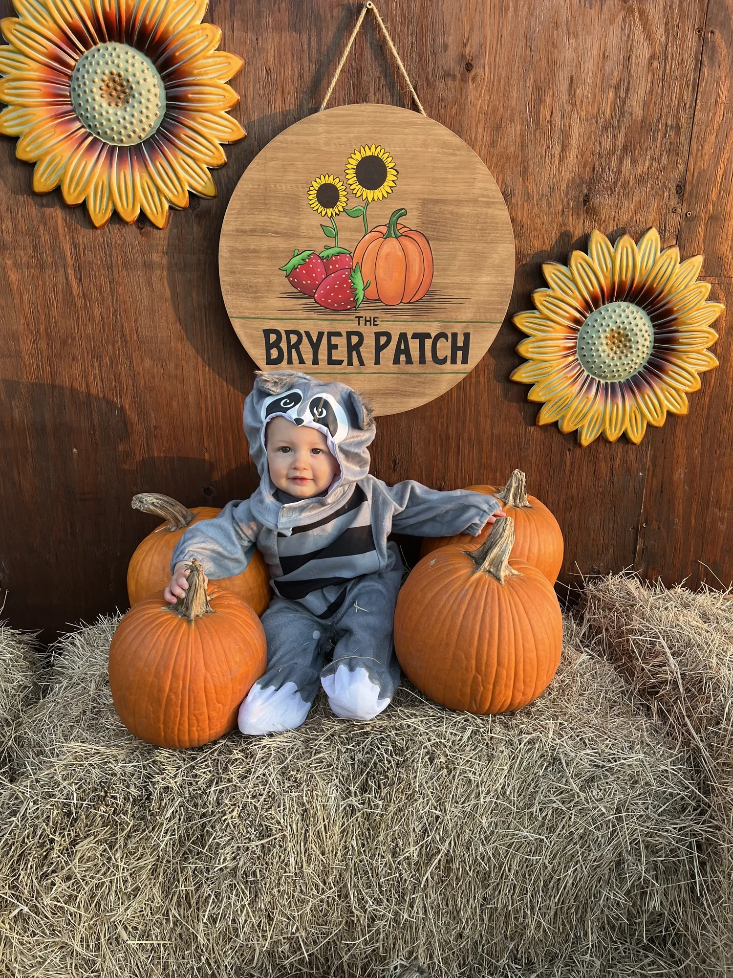 The Bryer Patch Farm | Produce & Flower U-Pick Farm | Newberry FL