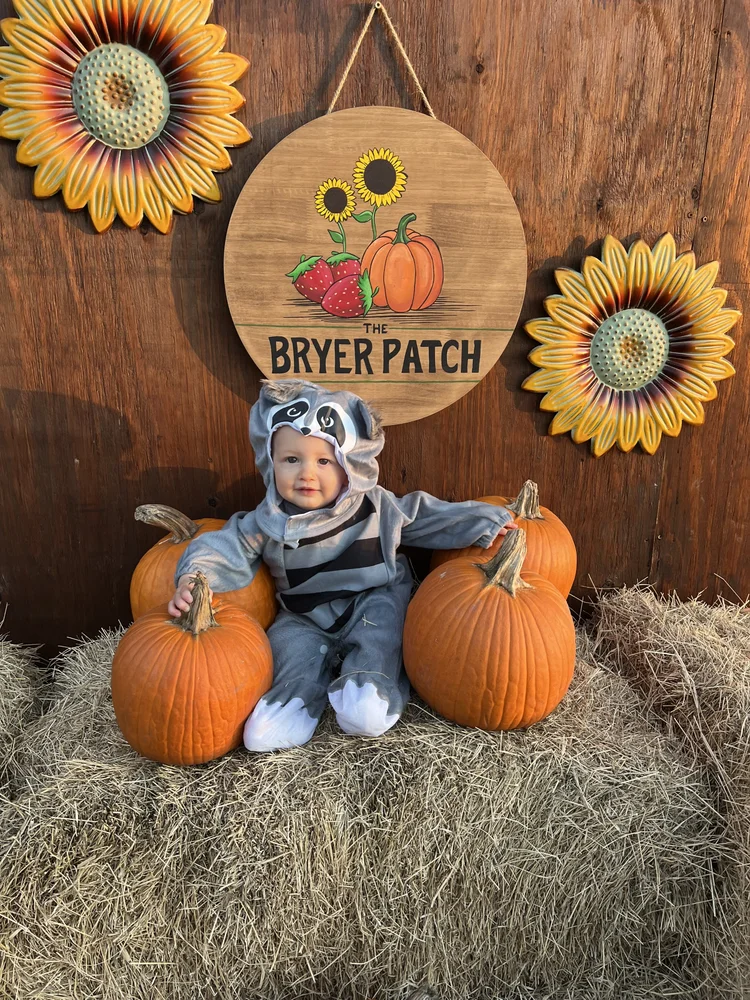 The Bryer Patch Farm | Produce & Flower U-Pick Farm | Newberry FL