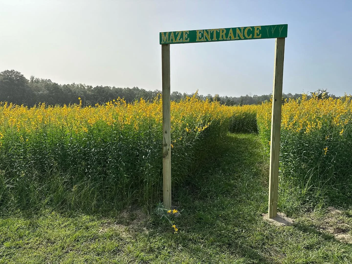 The Bryer Patch Farm | Produce & Flower U-Pick Farm | Newberry FL