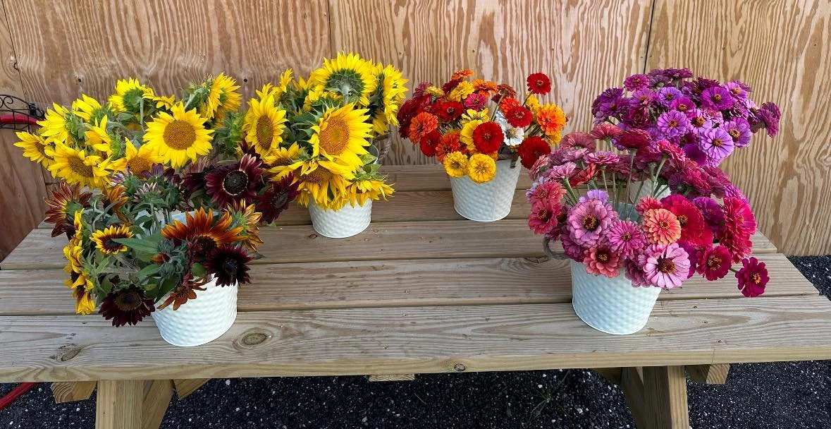 The Bryer Patch Farm | Produce & Flower U-Pick Farm | Newberry FL