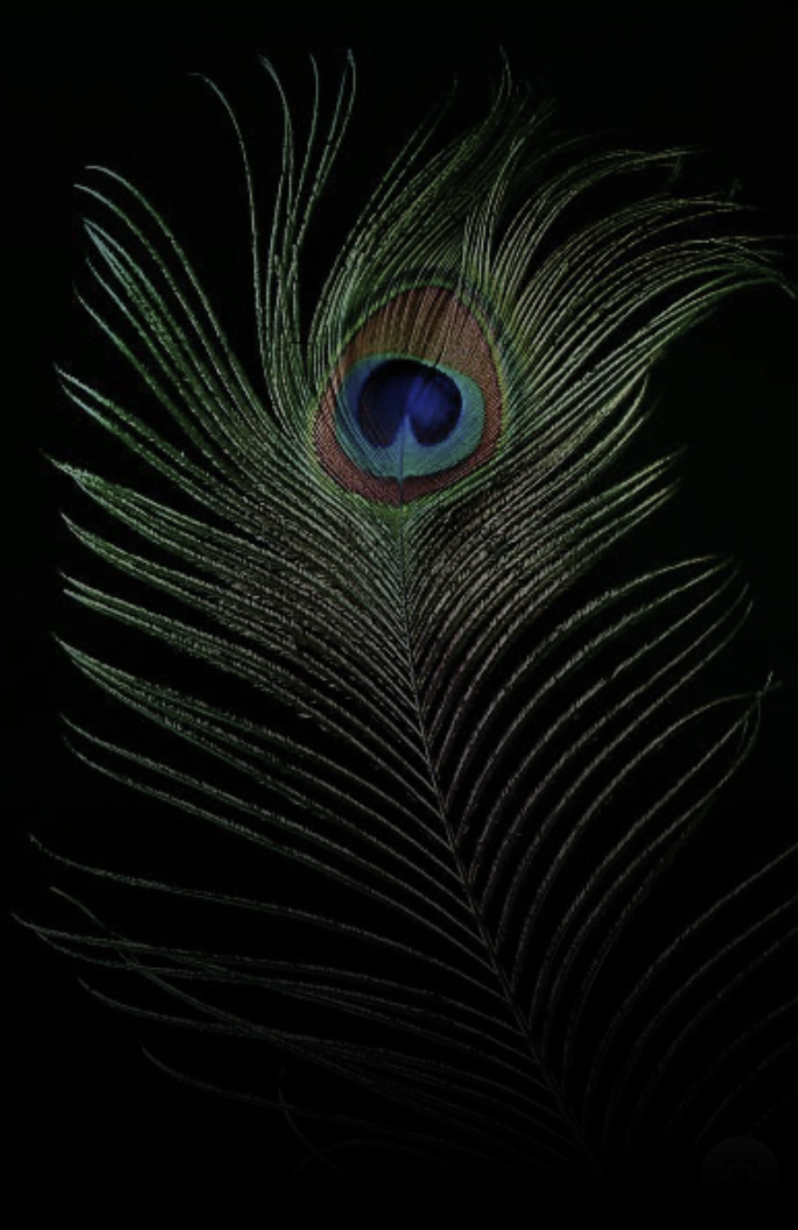 Tantra for Men — Chrysalis Tantra