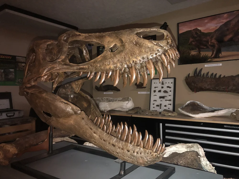 Our Mission | Dinosaurs of the Hell Creek Museum – Preserving South ...