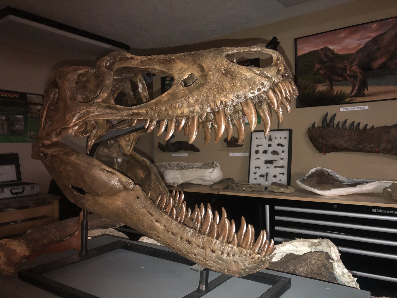 MISSION — Dinosaurs of the Hell Creek Museum