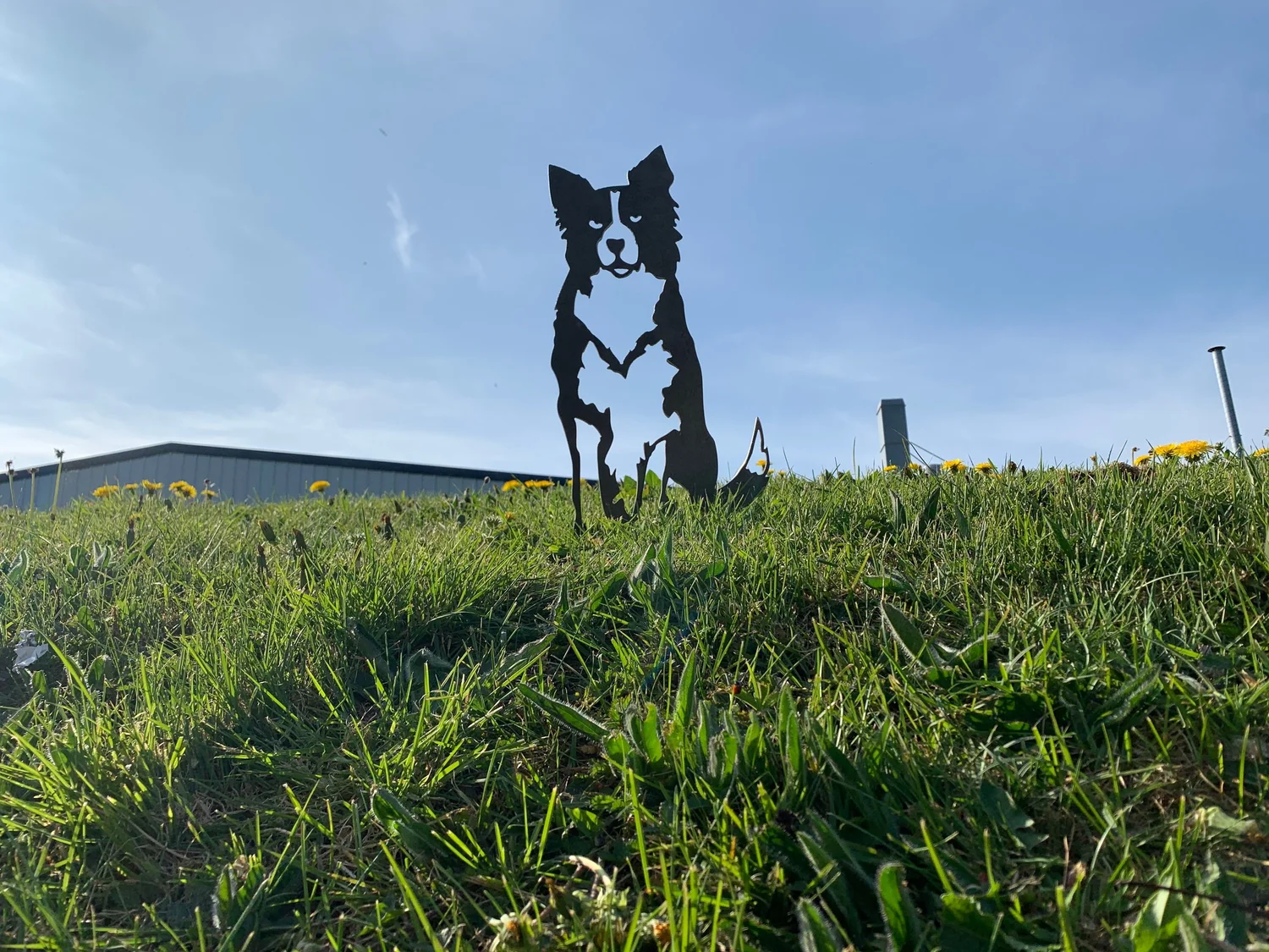 Metal Dog Garden Art UK | Dog Silhouettes & Memorial Gifts ...