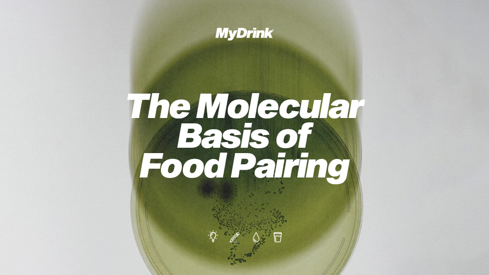 Food Pairing Course — MyDrinkCreation™