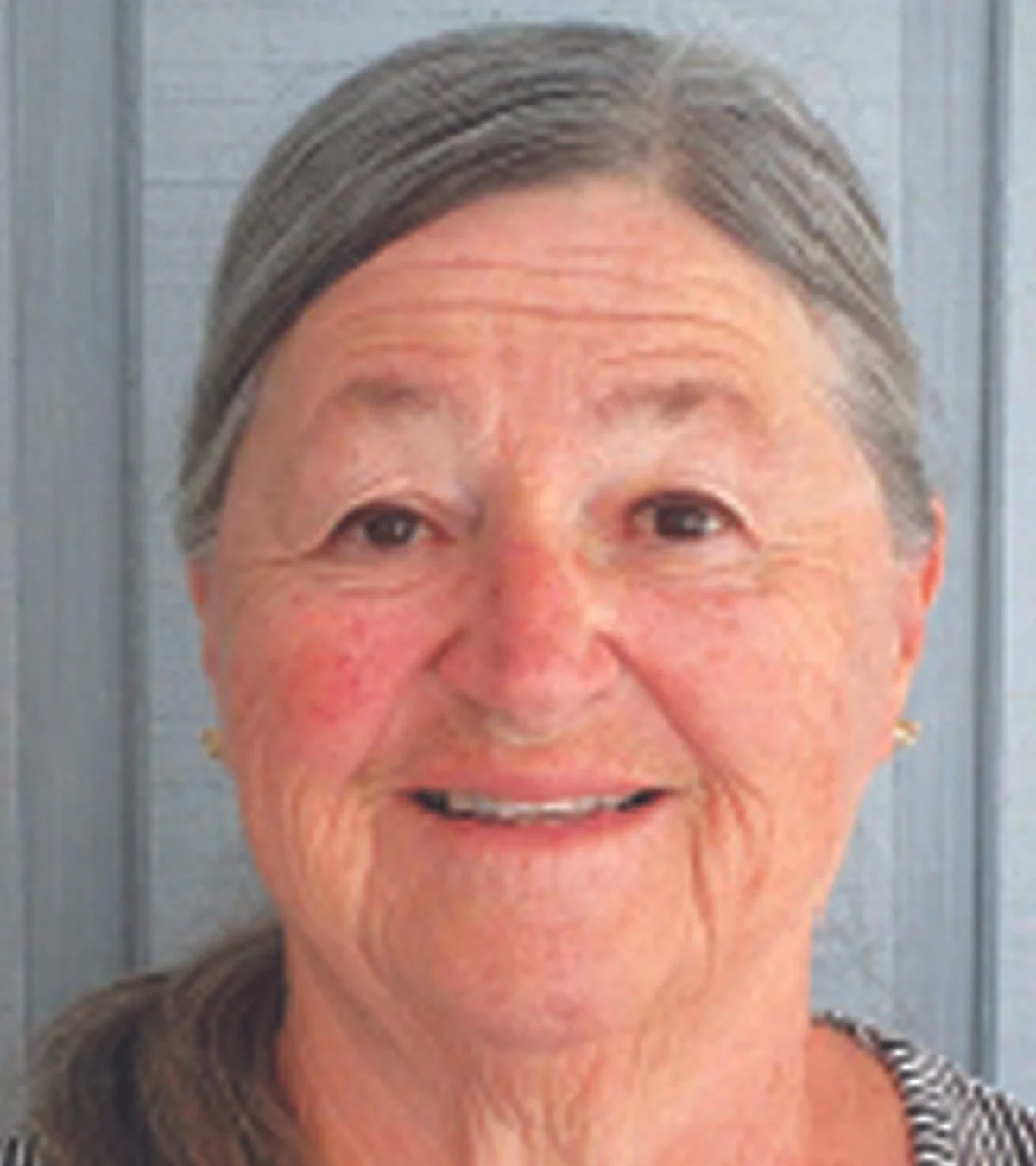 Artists — Arts Alliance of Lemon Bay